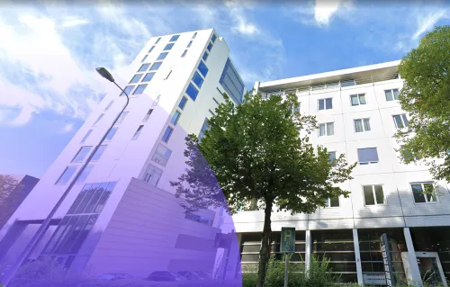 Your partner in Performance Marketing | Follo Agency